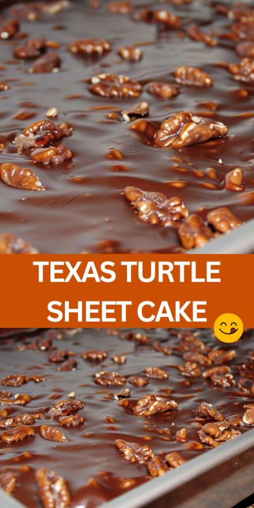 TEXAS TURTLE SHEET CAKE - WEEKNIGHT RECIPES
