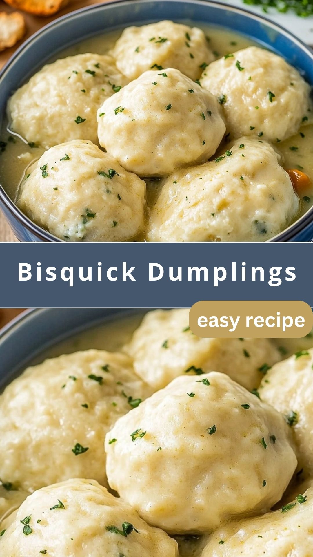 Bisquick Dumplings - WEEKNIGHT RECIPES