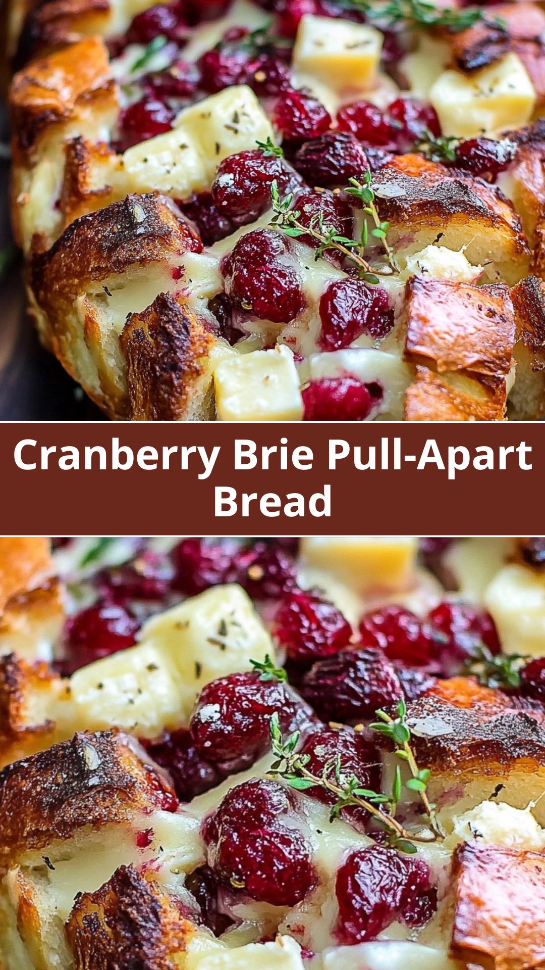 Cranberry Brie Pull-Apart Bread - WEEKNIGHT RECIPES